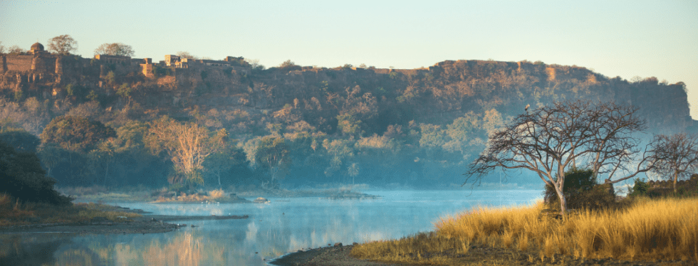 Discover the Best of India - Just Travel Cover