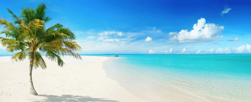 Medical Travel Insurance With No Age Limit - Just Travel Cover